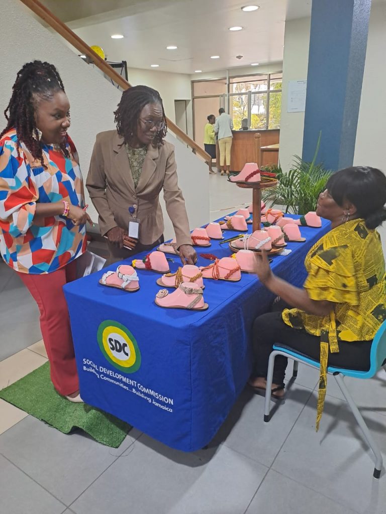 Entrepreneurs of the SDC Local Economic Development Initiative on ...